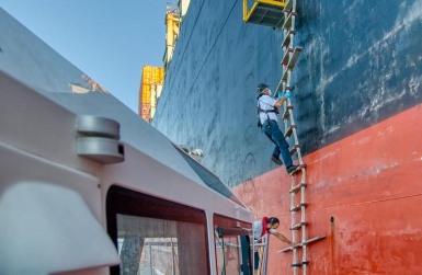 100 ships found with deficiencies with Pilot Transfer Arrangements ...