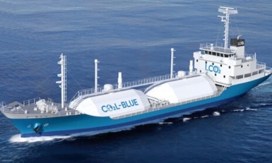 Carbon capture and storage: Risks and opportunities - The International ...