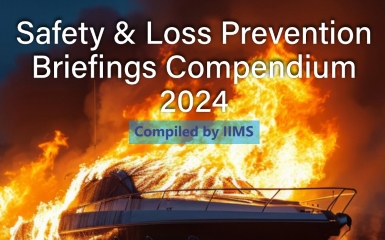 IIMS Safety & Loss Prevention Briefings Compendium 2024 - The ...